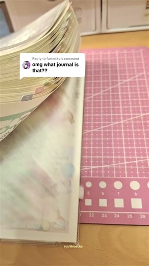 2024 Daily Planner Review and Journal Decor Tips