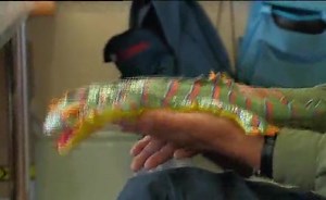 Sorry, we have encountered a problem. - Alexander Street, a ProQuest Company