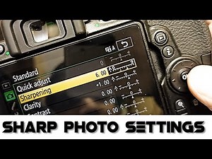 Nikon D5600 DSLR Camera Settings for Sharp Photo