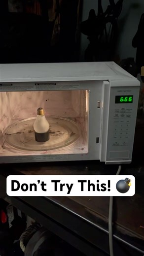 What Happens When You Microwave a Light Bulb? Plasma Glow from Inside Camera View!