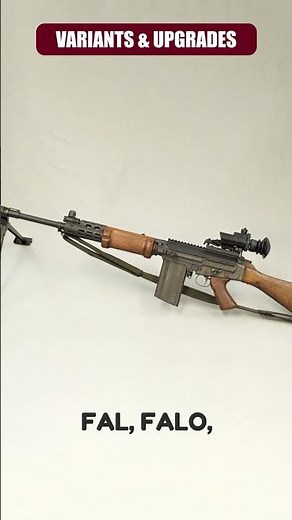FN FAL: Variants & Upgrades | The Evolution of a Battle Legend