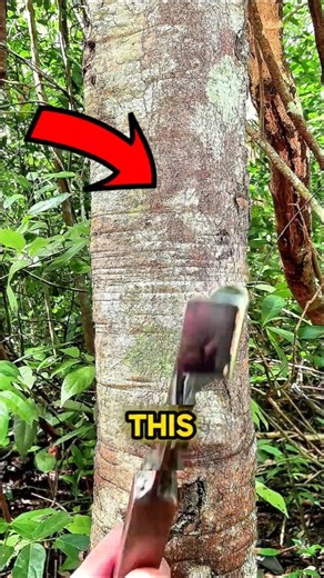 Hidden Red Tree Art #shorts