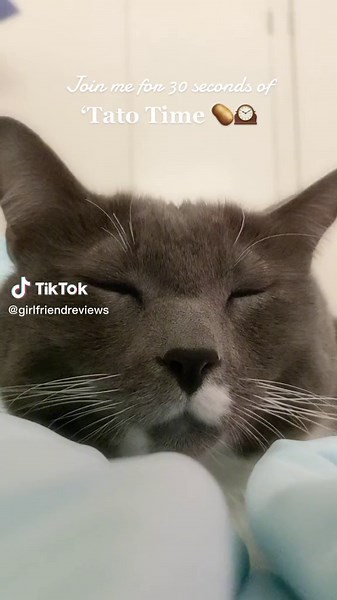 Chillest Spud Tato Time - Girlfriend Reviews