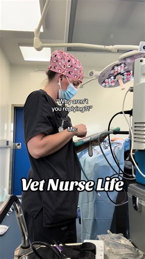 A Day in the Life of a Vet Nurse