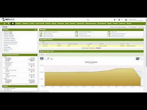 NetSuite Expense Allocations using Statistical Accounts Demo