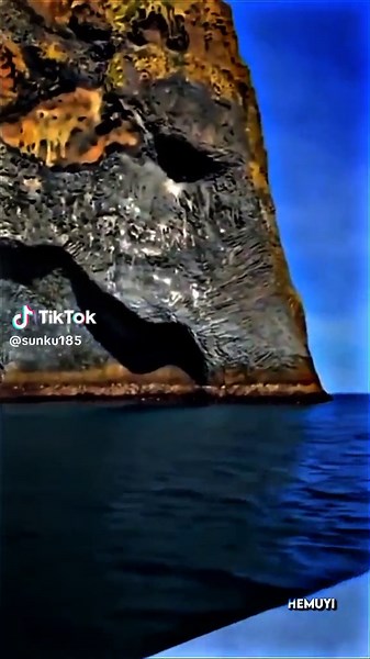 Zunesha in Real Life: Discover the Truth Behind One Piece