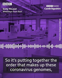 Stuff you may have missed this week  a peek behind the scenes at the Wellcome Sanger Institute at Hinxton. There's literally a LOT of number-crunching going on, to map the coronavirus genome. There's more on the story from our breakfast team here: https://bbc.in/2Tj03ZV | BBC Cambridgeshire | Facebook