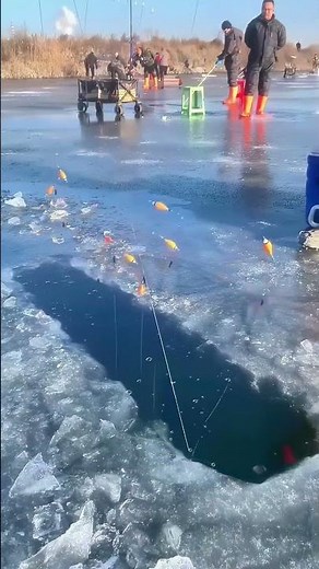 Northeast Ice Fishing Secret! This line - setting method makes fish bite wildly