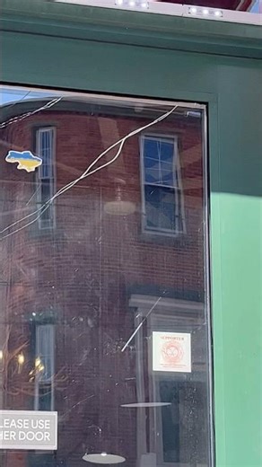 Fanimation Slinger V2 Ceiling Fan