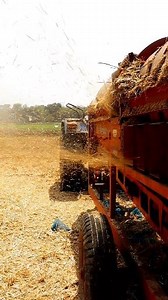 Wheat Threshing by Multi Crop Thresher (MCT): Hi Friends, There are various types of threshing methods. Here we tried to show how wheat threshing is done by MCT means Multi Crop Thresher. The farmer first feed harvested wheat into feeder. The wheat straws get smashed into pieces and finally fresh wheat gains are collected from back side. This is quick and effective method and the farmers prefer it now-a-days. #threshing #wheat #threshingwheat #wheatthreshing #kisan #krishi #agriculture #agricult