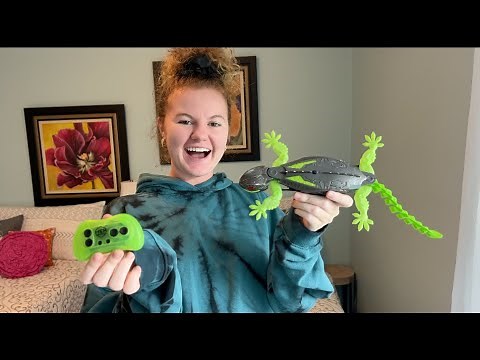 How to use the Hex Bots Wall Crawler Gecko