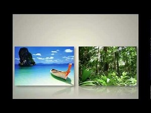 Mr. Guest's Notes on The Five Major Climate Types