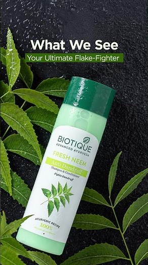 Biotique Neem Shampoo