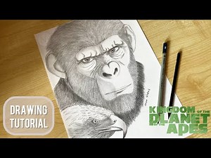 How to draw an ape (gorillas) / Kingdom of the Planet of the Apes 2024 / Drawing Noa