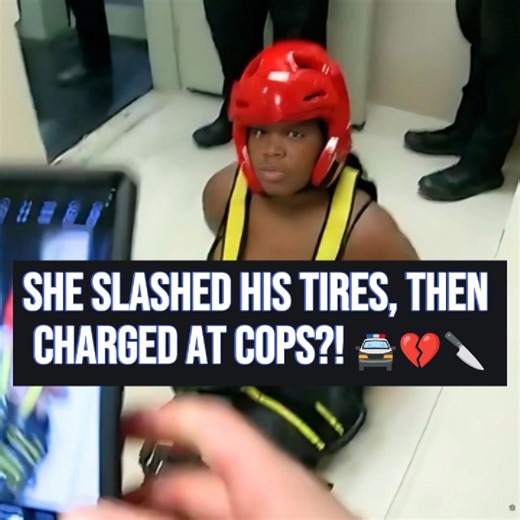 110K views · 2.3K reactions | She Slashed His Tires, Then Charged at Cops?!  Officers respond to a domestic dispute involving a woman who reportedly punctured her partner’s car tires then turned her rage toward the police. What started as a relationship meltdown quickly escalated into a violent confrontation. This relationship didn’t just go flat it blew up. Watch the full chaos unfold! #DomesticDisturbance #PoliceBodyCam #TireSlashing #CrazyEx | Danielle | Facebook