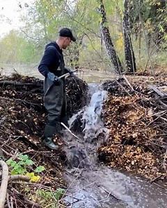 136K views · 485 reactions | Massive Beaver Dam Removal Tackling a 2 Meter High Obstruction! | DIY & Crafts | Facebook