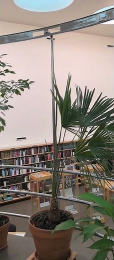 Выборгская библиотека. 1935 год, финский архитектор Алвар Аалто.