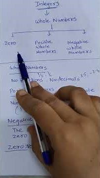 What are integers | Integers | Positive integers| Negative integers | Introduction to integers