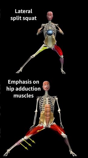Lateral Split Squat Side lunge with emphasis on hip adduction
