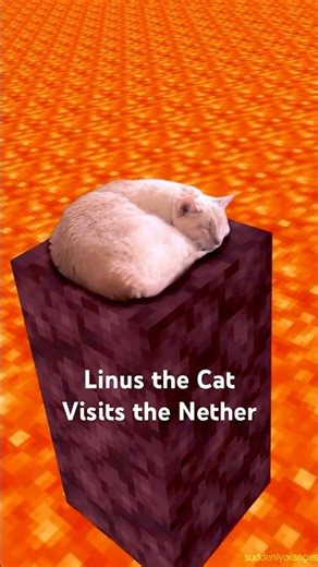 Linus Takes a Trip to the Nether #minecraft #cat #linus