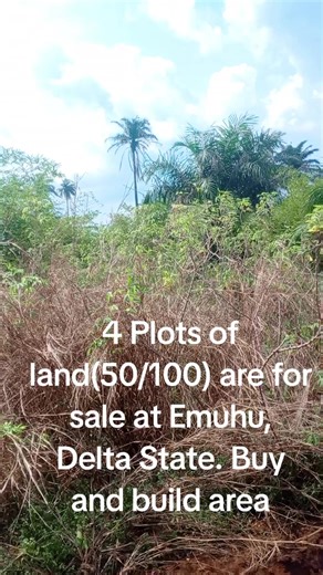 4 Plots of Land for Sale in Emuhu, Delta State