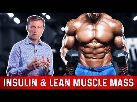 Insulin & Lean Muscle Mass – Insulin Resistance and Muscle Gain Connection – Dr. Berg