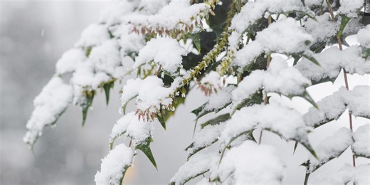 Woman dies after being struck by snowmachine while riding a sled; child injured