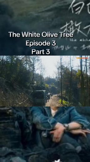 The White Olive Tree Episode 3 #fypシ゚ #fyp #thewhiteolivetree #thewhiteolivetree #SongRan #LiZan #dramachina #fypシ゚viral🖤tiktok