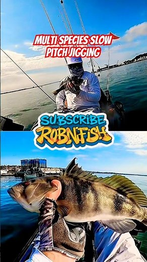 Kayak fishing multi species, slow pitch jigging