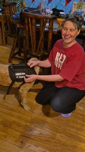 Here's Ian! He passed the final part of his public access exam this evening! He is now considered out of training and fully qualified. His specific services will take longer, but public access was the biggest hurdle. To everyone who has been rooting for us, to those who have helped with the training, to the various show coordinators who have allowed Ian to be present to learn the etiquette of my workplaces, thank you! And special thanks to Murdoch's of Laramie and Cheyenne, to Home Base of Laram