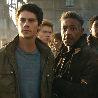 Maze Runner gets unexpected reboot