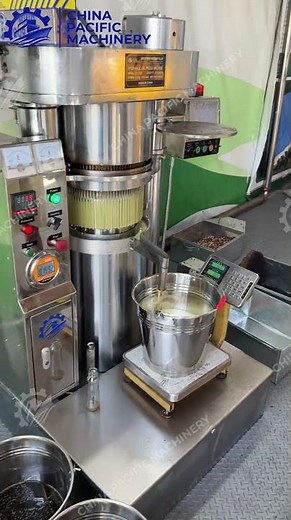 Hydraulic Mustard Oil Expeller Machine|Rapeseed Oil Press Machine|Canola Oil Extraction #oilmaking