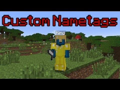 Custom Player Nametags in Vanilla Minecraft!
