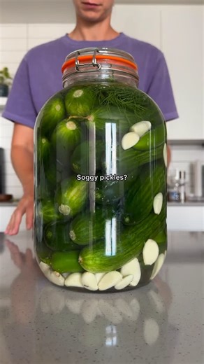 Kirsten Kaminski on Instagram: "EP 7/12 — Fermentation 101: How to avoid soggy pickles 🥒🫙 Here’s how to get that crunch — every single time: 1. Start with very fresh, firm cucumbers. Smaller ones stay crunchier and avoid cucumbers that are already bendy or dull 2. Slice off the blossom end. This part of the cucumber contains enzymes that accelerate softening and this alone can make a huge difference. 3. Use enough salt. A simple 2-3% brine gives structure and keeps vegetables crisp while they