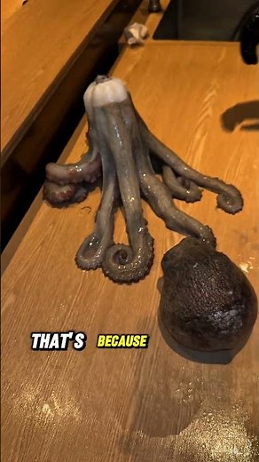 Why Octopus Arms Move After Being Cut Off? #octopusfacts