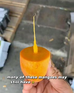 1.3M views · 28K reactions | 5 kinds of exotic and rare mangoes that may surprise you. | Terra Facts | Facebook