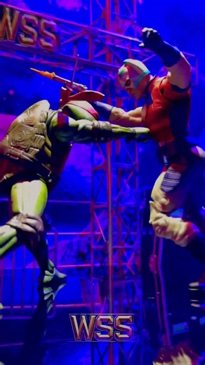 Peacemaker vs Raphael – Marksman vs Ninja 🐢💥 Who Wins?!