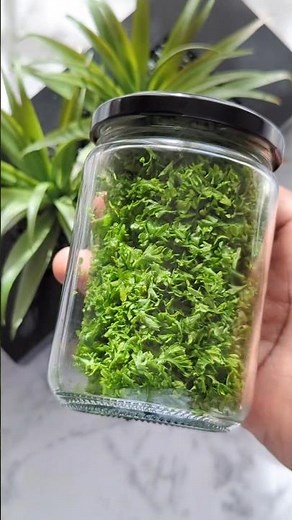 Astuce de Comment Conserver le Persil Frais !!! .Tips for Keeping Parsley Fresh!!!.