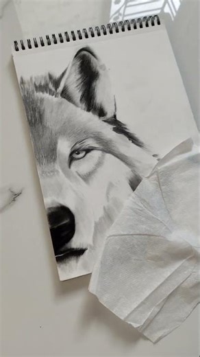 😱Realistic wolf 🐺 artwork #shorts #ytshorts
