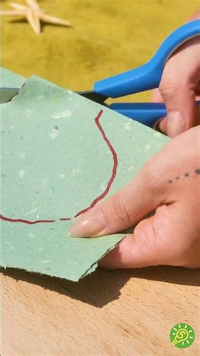 ¡Cuaderno Mágico del Océano! 🌊📘 ¡No Creerás que Está Hecho de Conchas Marinas!