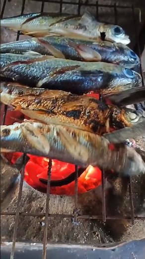 Fish Breakfast Easy Grill | Quick & Health Fish Cookery in Fishing