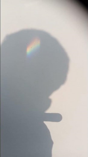 reflection of light class 12|refractive index of prism experiment|what is reflection of light