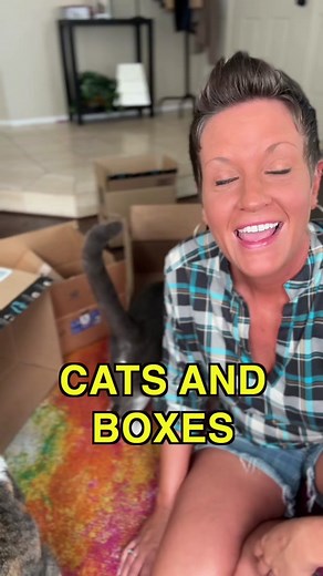 Cat Tip of the Day: Does your cat love boxes? #cattips101 #catsandboxes