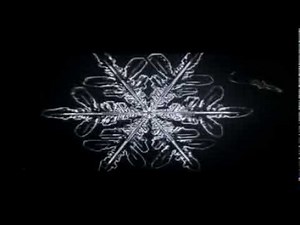 Birth of a snowflake