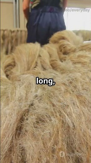 The Secret Life of Polyester ~ From Raw Material to Fabric! #polyesterfabric #howitsmade #textile