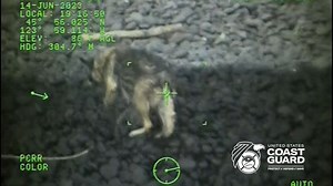 205K views · 5.5K reactions | Paw-sitively good news for this...