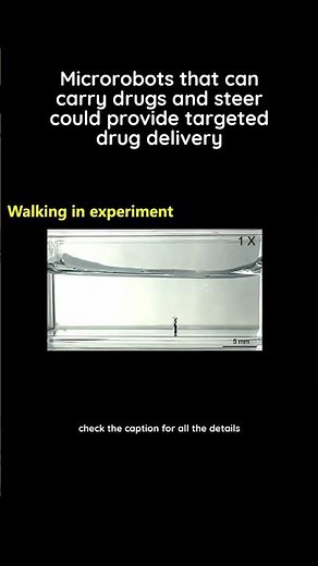 Magnetically guided microrobots deliver drugs precisely to hard-to-reach tissues