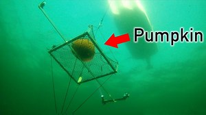 Pumpkin ImplosionPumpkin Implosion at 600ft Deep — Extreme Experiment at 600ft Deep