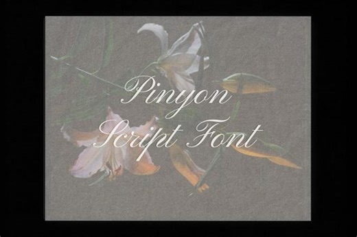 Download Pinyon Script Font