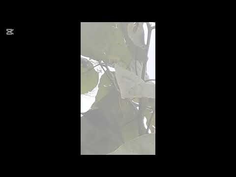 Developing positive thinking in children